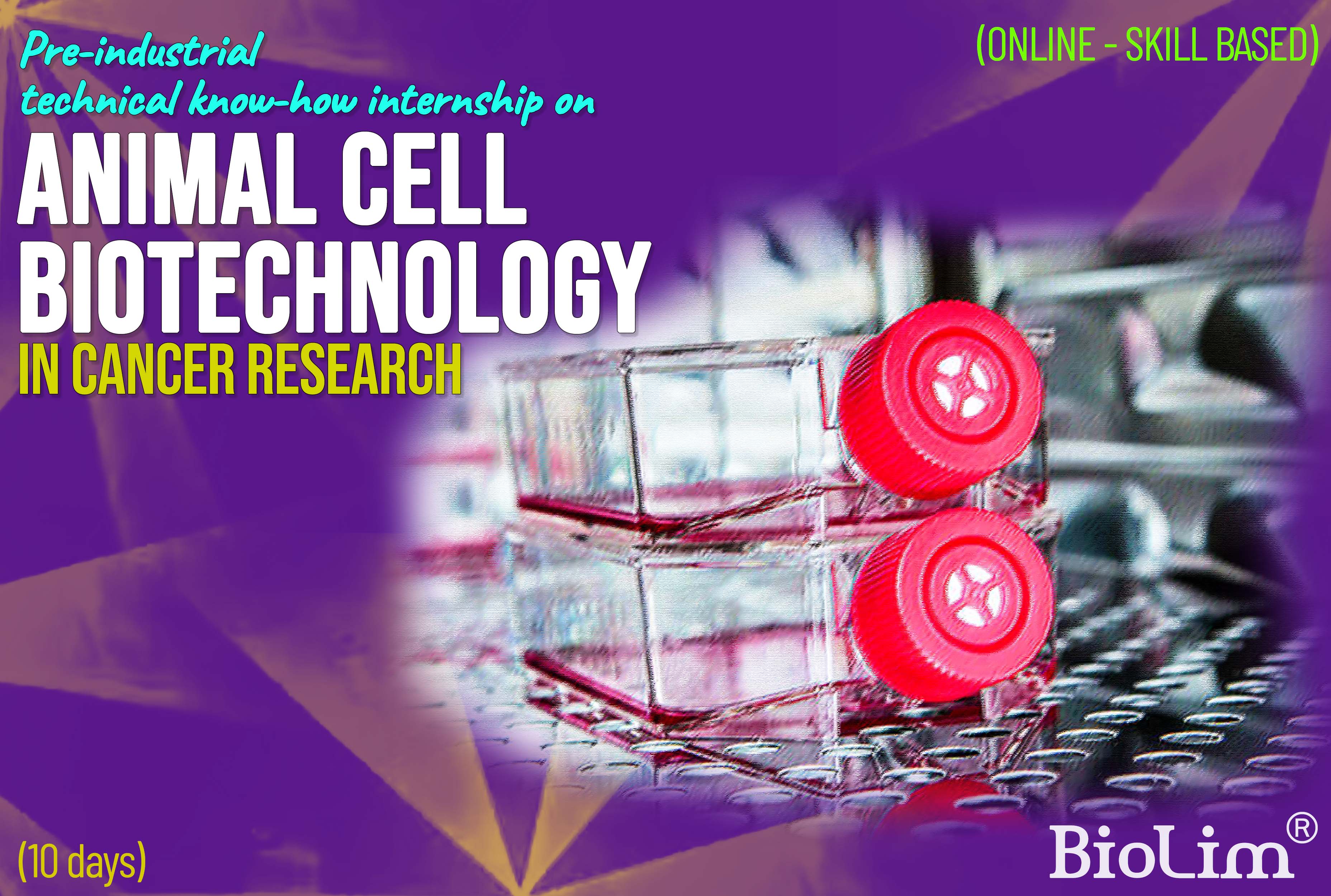 Internship on animal cell biotechnology in cancer research
